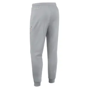 Nike Detroit Lions Sideline Standard Issue Dri-fit Nfl Taper Pants - Grey