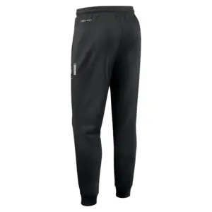 Nike Pittsburgh Steelers Sideline Standard Issue Dri-fit Nfl Taper Pants - Black