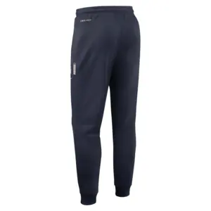 Nike Chicago Bears Sideline Standard Issue Dri-fit Nfl Taper Pants
