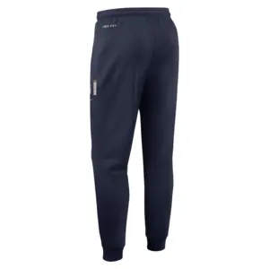 Nike Seattle Seahawks Sideline Standard Issue Dri-fit Nfl Taper Pants