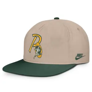 Nike Green Bay Packers Rewind Pro Nfl Adjustable Hat - Brown