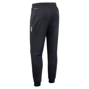Nike Houston Texans Sideline Standard Issue Dri-fit Nfl Taper Pants