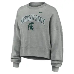 Nike Michigan State Phoenix Arch College Pullover Crew - Grey
