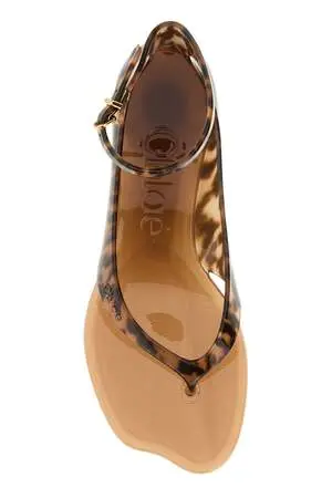 Chloé Printed Tpu Jelly Thong Sandals