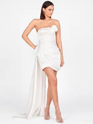Lara New York Strapless Dresses