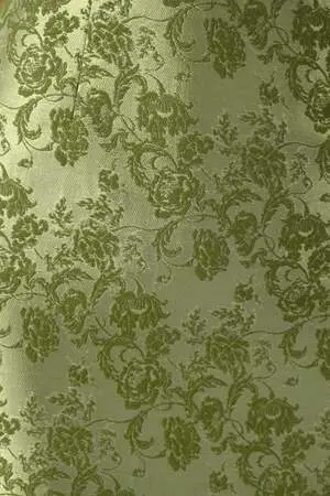 SAU LEE Jackson Brocade Gown