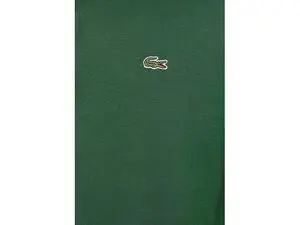 Lacoste Regular Fit Cotton Pima Polo Shirt Clothing - Green