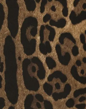 Dolce & Gabbana Leopard Print Outdoor Cushion
