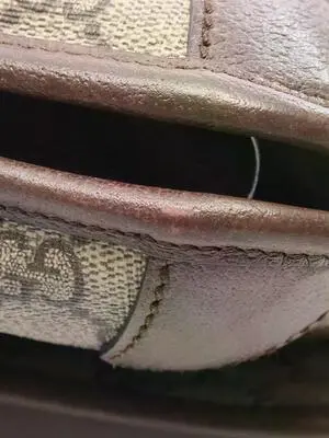 Gucci Gg Supreme Web Neo Vintage Double Flap Messenger Bag - Neutrals