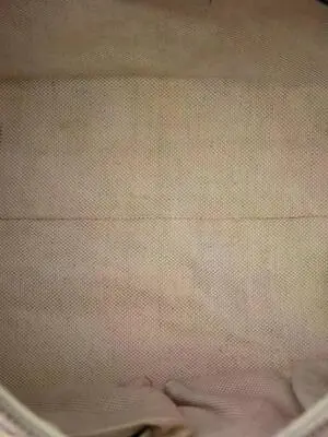Gucci Gg Canvas Scarlett Handbag