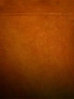 LOUIS VUITTON Epi Alma Pm Satchel - Brown