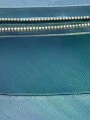Prada 2010-2026 Saffiano Wallet On Chain Crossbody Bag