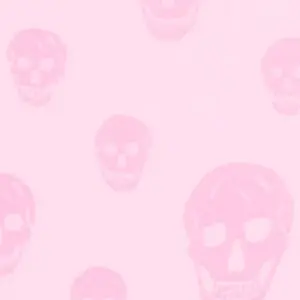 Alexander McQueen Silk Skull Scarf
