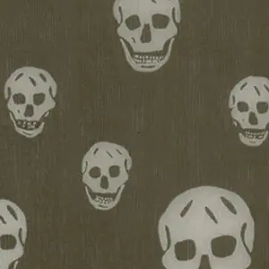 Alexander McQueen Silk Skull Scarf