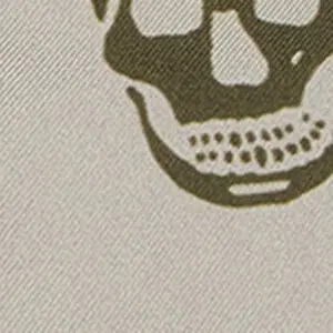 Alexander McQueen Silk Skull Skinny Scarf