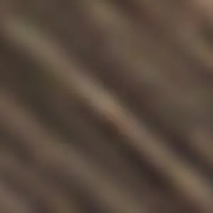 SATO Terebellum V Sunglasses