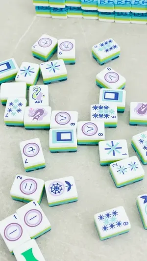 Jonathan Adler Basketweave Mahjong Set