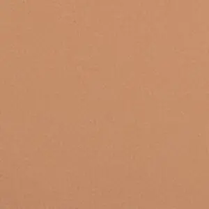 Wolford Pure Thong