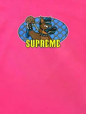 Supreme Graphic-print T-shirt