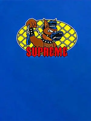 Supreme Graphic-print T-shirt