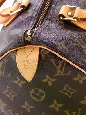 LOUIS VUITTON Speedy Handbag Monogram Canvas 30 Satchel