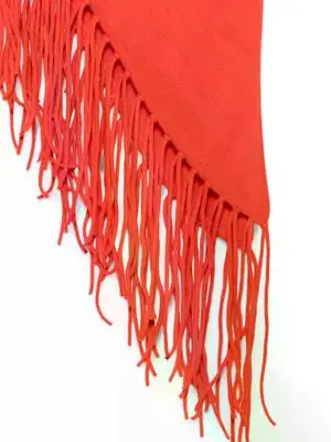 P.a.r.o.s.h Fringe-trim Triangular Scarf
