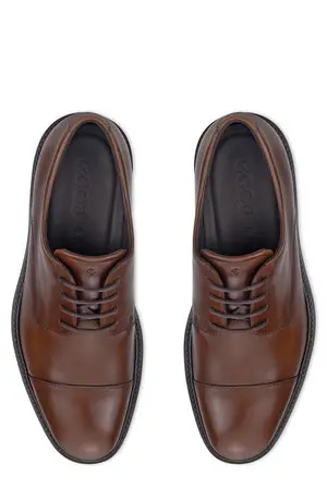 Ecco Metropole Prague Cap Toe Derby - Camel