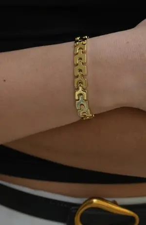 Argento Vivo Link Bracelet
