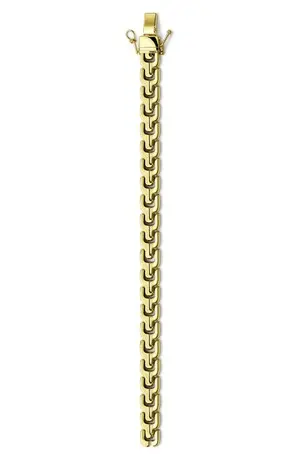 Argento Vivo Link Bracelet