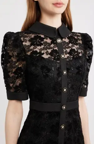TAHARI ASL Lace Midi Shirtdress