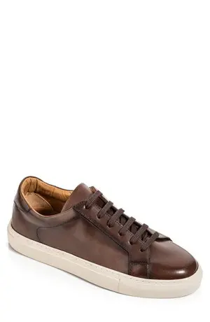 Men's Brown Sneakers
