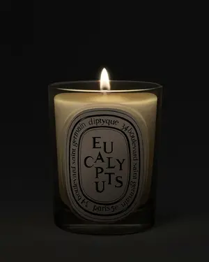 DIPTYQUE Eucalyptus Classic Candle 6.7 Oz