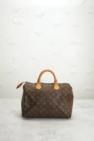 LOUIS VUITTON Monogram Speedy 30 Handbag