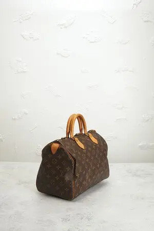 LOUIS VUITTON Monogram Speedy 30 Handbag