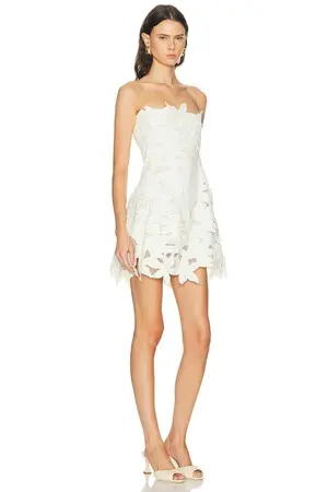 Simkhai Miri Mini Dress