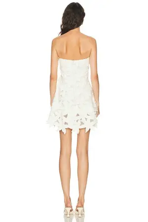 Simkhai Miri Mini Dress