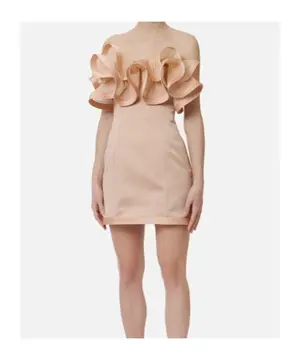 Elisabetta Franchi Ruffled Mini Dress