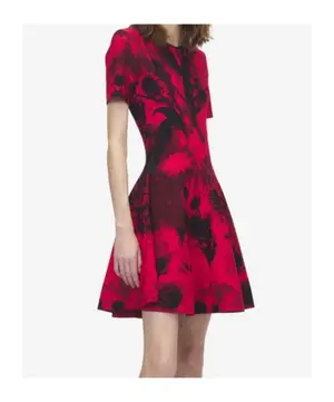 Alexander McQueen Crew-neck Flared-hem Mini Dress