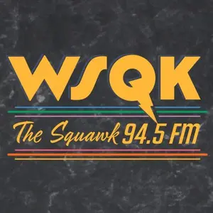 STRANGER THINGS Vintage Radio The Squawk Wsqk T Shirt