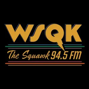 STRANGER THINGS The Squawk" Graphic Hoodie
