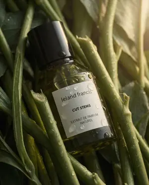 LELAND FRANCIS Cut Stemseau De Parfum