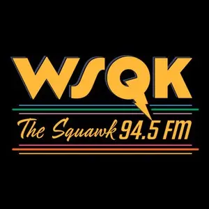 STRANGER THINGS Vintage Radio The Squawk Wsqk Sweatshirt - Black
