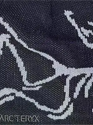 Arc'teryx Bird Beanie Hat