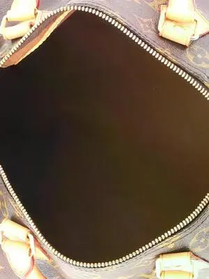 LOUIS VUITTON Speedy Handbag Monogram Canvas Satchel