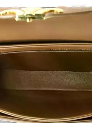 Celine Besace Triomphe Shoulder Bag Leather Medium Crossbody Bag