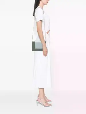 Celine Bicolor Leather Frame Wallet On Chain Crossbody Bag - Green