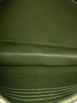 Celine Bicolor Leather Frame Wallet On Chain Crossbody Bag - Green