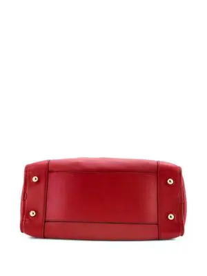 Loewe Amazona Nm Bag Leather Satchel