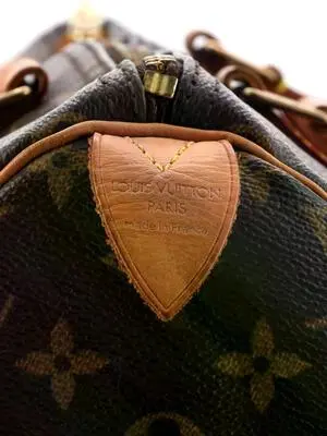 LOUIS VUITTON Speedy Monogram Canvas Satchel Handbag - Brown