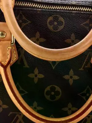 LOUIS VUITTON Monogram Canvas Speedy 30 Satchel - Brown